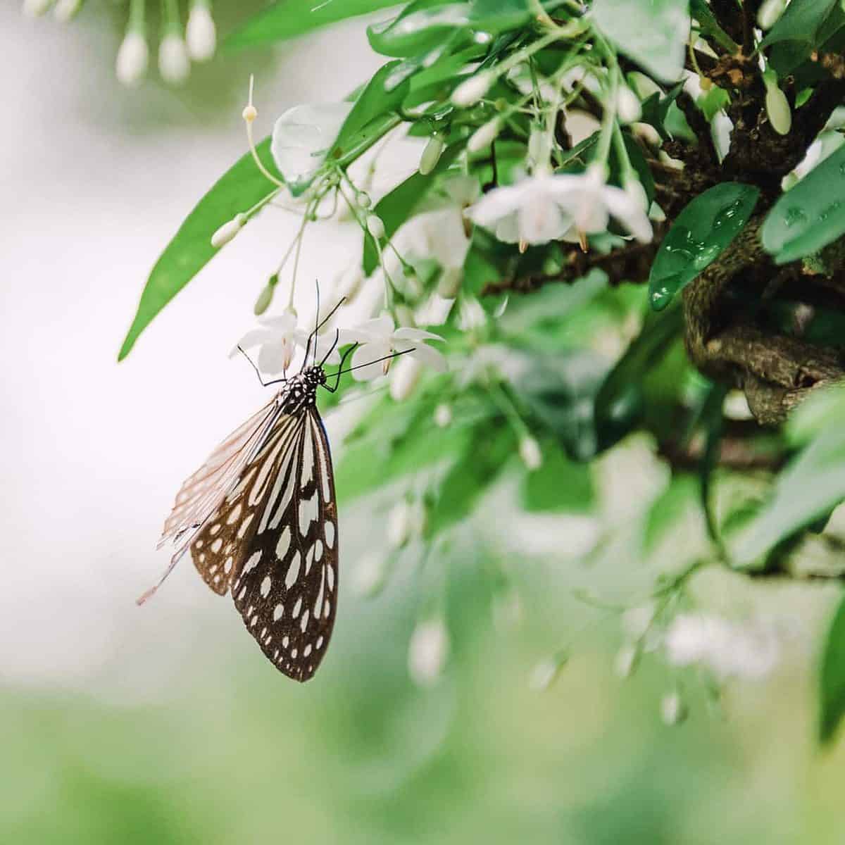 25 Prayers for Spiritual Growth (With Scripture References)
